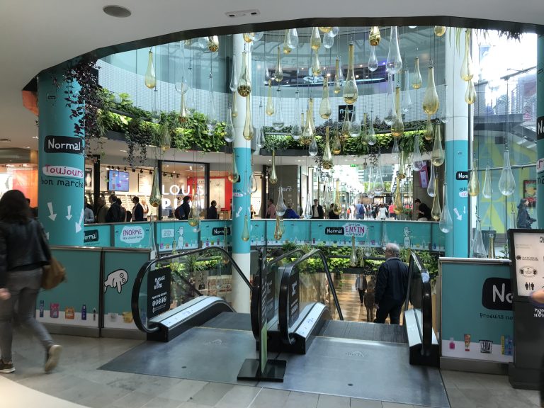 1er magasin Normal - Focus Shopper